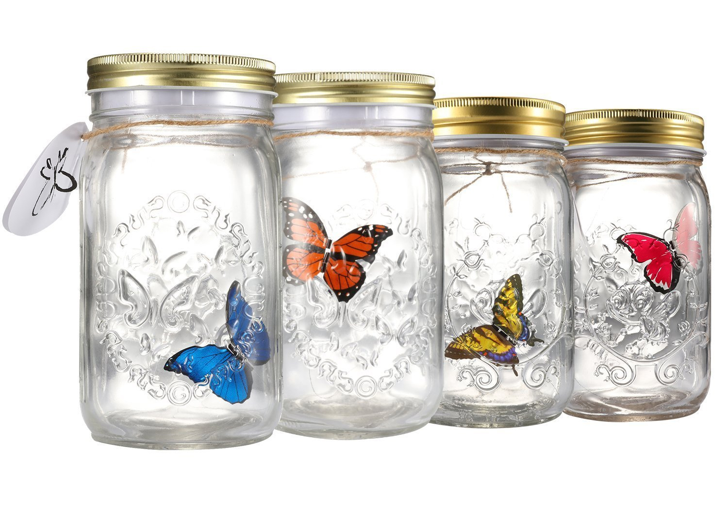 Butterfly In Jar
